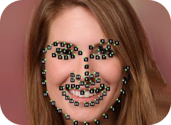 Top Image Annotation Services in India | AI & Machine Learning Training Data – Srishta Technology